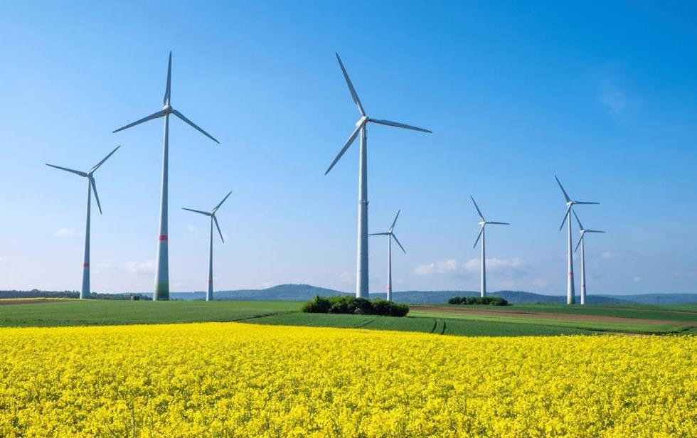 3 ưu điểm, nhược điểm của điện gió